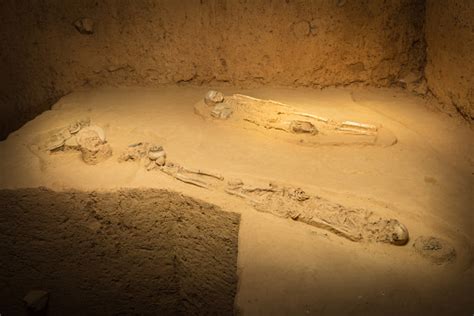Foto De Grave Enterro Esqueleto Humano Ossos Na Tailândia E Mais Fotos