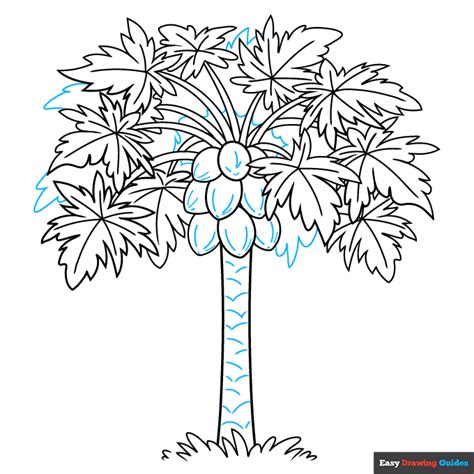 Papaya Tree Drawing Up The Papaya Tree Drawing By Debi Bond Pixels