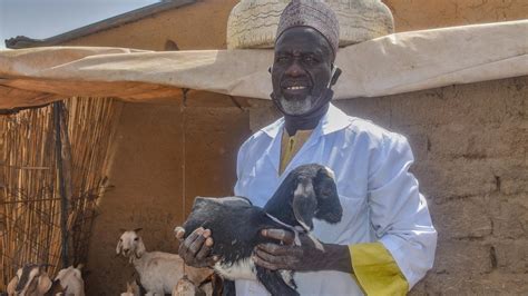 Communities In The Far North Region Of Cameroon Open Their Doors To