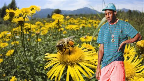 Tyler The Creator Desktop Wallpapers Top Free Tyler The Creator