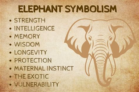 What Is The Symbolism Of An Elephant Wisdom Strength And Memory