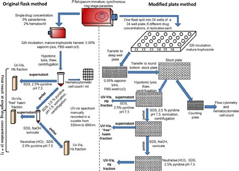 Flow Diagram Showing The Haem Fractionation Assay Original Flask