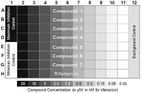 Final Assay Plate Layout The Plate Format Is Shown Column 1 Contains