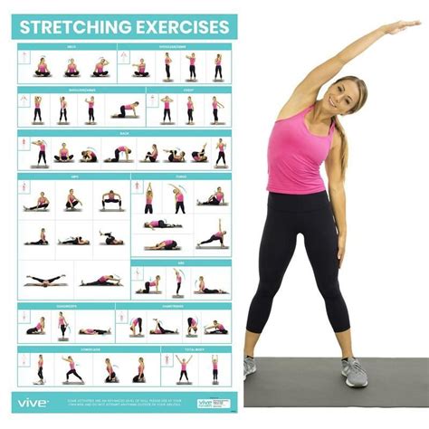 10 Best Stretches To Do Before Working Out Artofit