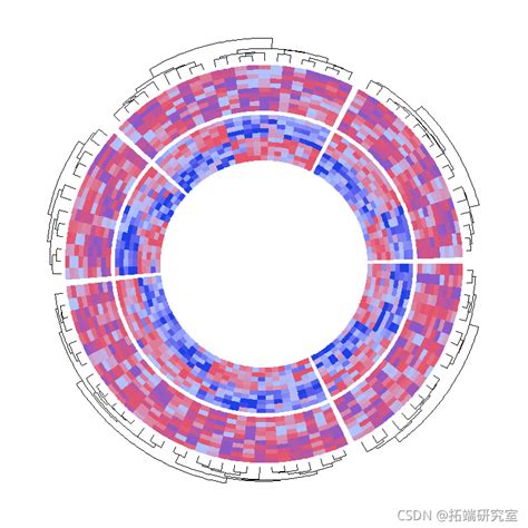 人工智能 R语言绘制圈图、环形热图可视化基因组实战：展示基因数据比较 拓端数据 Segmentfault 思否
