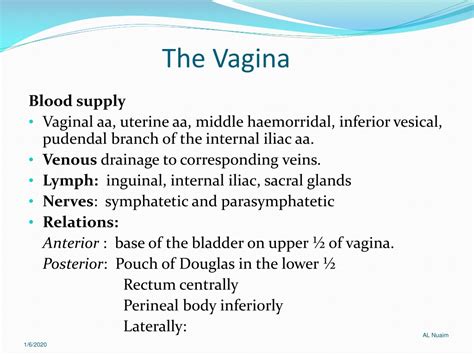 Ppt Female Pelvic Organs Anatomy For Vaginal Delivery Powerpoint