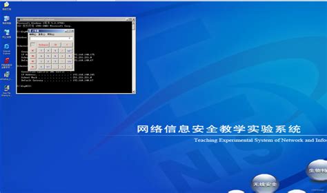 Easy File Sharing Web Server 69漏洞复现及生成主控端、被控端应用easy File Share 漏洞利用