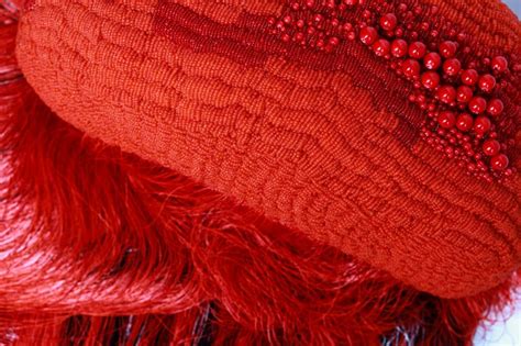 Устина Яковлева Государственный Дарвиновский музей