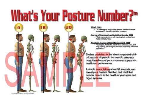 Whats Your Posture Number Postures Posture Support Posture Correction