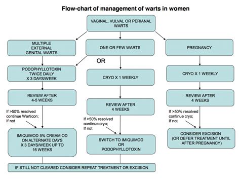 Genital Warts Clinical Feature Management Teachmeobgyn