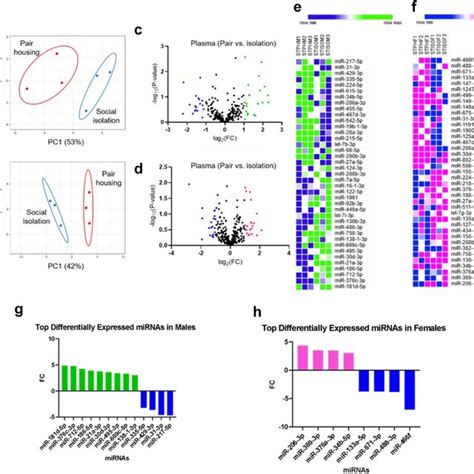 Kegg Pathway Analysis Of Predicted Transcripts Targeted By