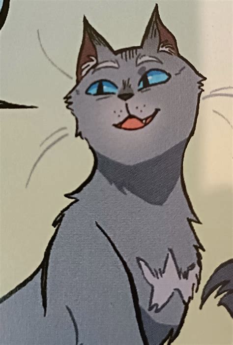 The Book Warriorsbluestar Warrior Cats Disegno Gatos