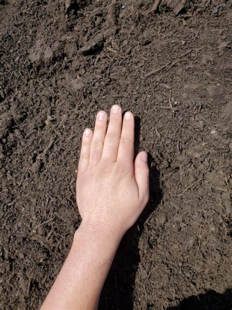 Compost 83 Landscape Supply