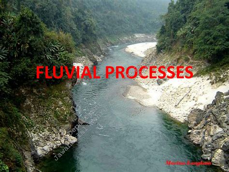Solution Fluvial Processes Studypool