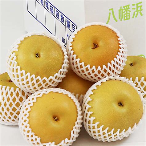 【入荷販売のみ】愛媛県産 秋月梨 ご家庭用 10kg 愛媛県産 秋月梨（あきつきなし）