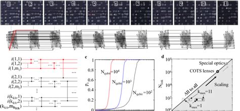 qsoc enables large scale fully connected qubit graph with further