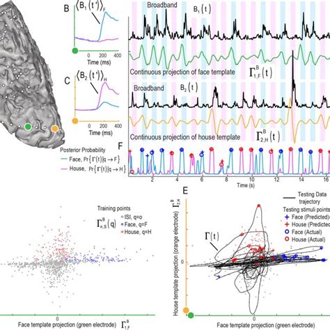 Classification Accuracy For Decoding Stimulus Class And Onset In A