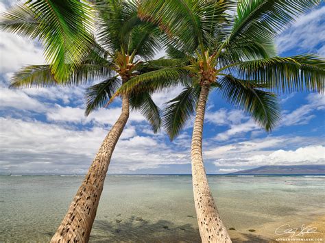 Andrew Shoemaker Photography