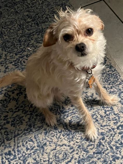 Clemson Pic Of The Day By Sundevilemily42 On Deviantart