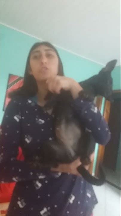 Tenhomicrocefalia Youtube