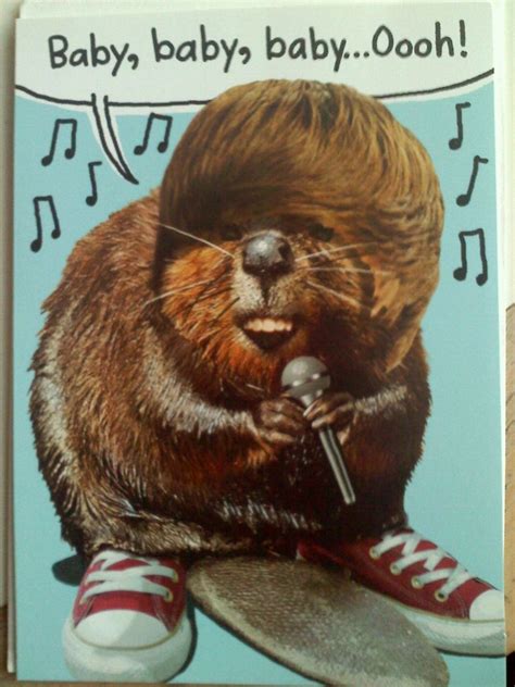 The Daily Bieber Justin Beaver