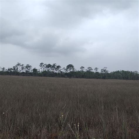 We Learned Something Today Even Python Cowboy Hunts Facebook