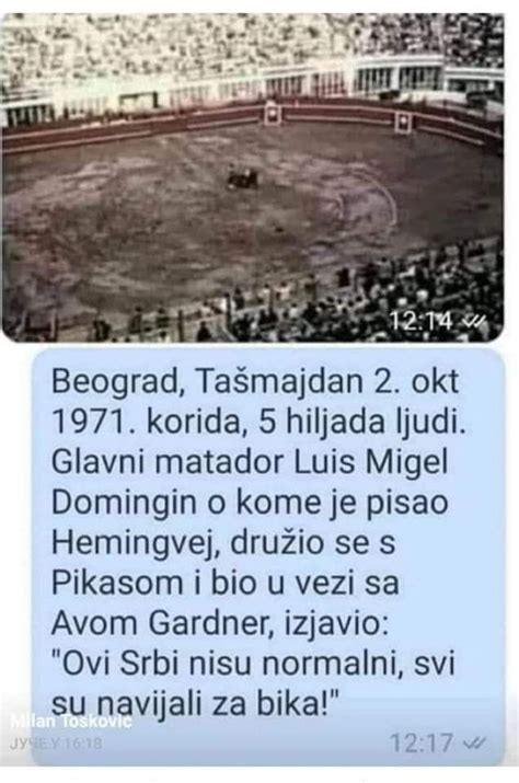 Vlada Simic Posted On Linkedin