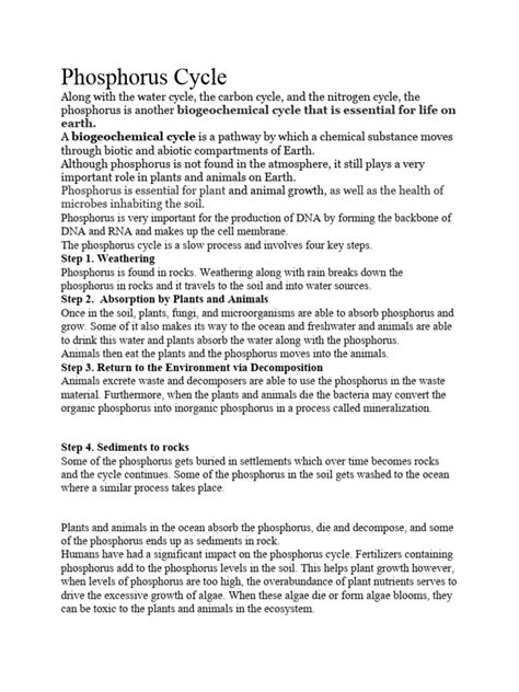 Phosphorus Cycle Pdf Soil Earth Sciences