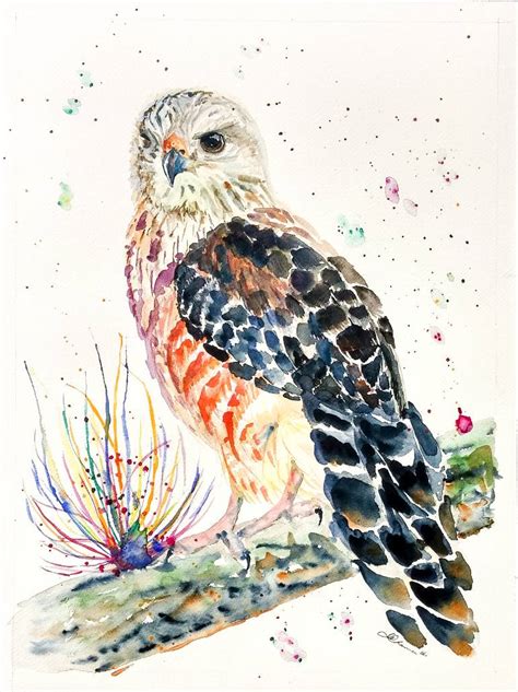 Watercolor Hawk At Explore Collection Of