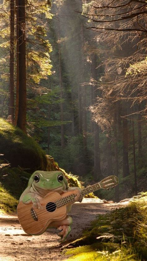 Frog In The Forest In 2024 Frog Forest Animals