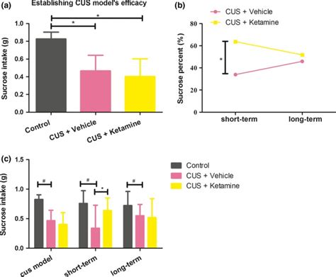 Short‐ And Long‐term Antidepressant Effects Of Ketamine In A Rat