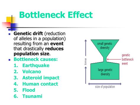 Ppt Population Evolution Microevolution Powerpoint Presentation