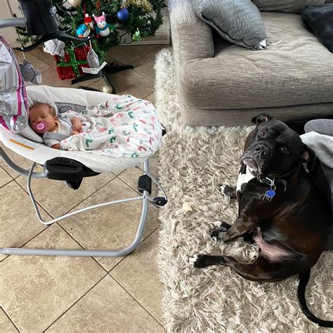 Ive Got This Shift Mom Rfunny