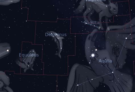 Delphinus Constellation