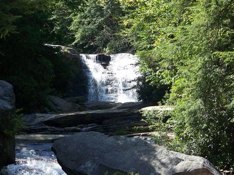 Muddy Creek Falls And Trails At Swallow Falls State Park Flickr