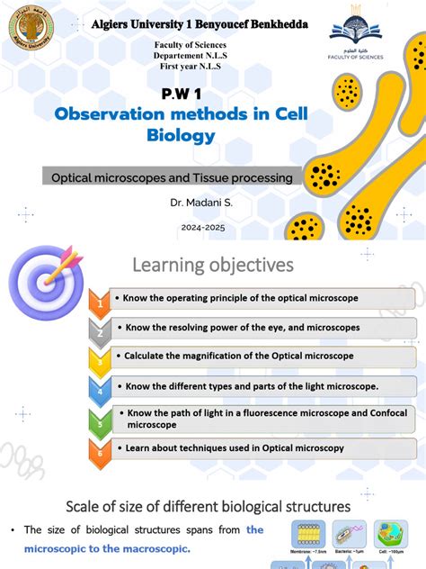 Understanding Optical Microscopy Techniques Pdf Microscopy Microscope