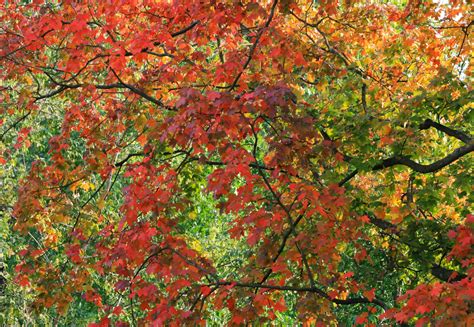 Historiallista Tehdasmiljöötä Tampereella Finlaysonin Tehdas