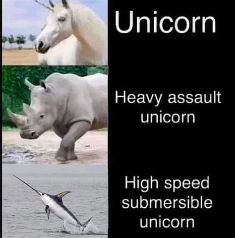 🤣 Unicorn Heavy Assault Unicorn High Speed Submersible Unicorn