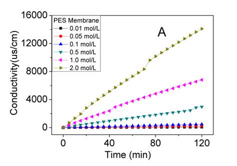 Showed The Variation Of Conductivity As A Function Of Permeation Time