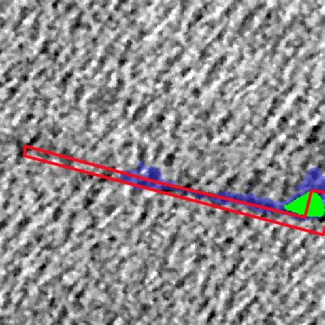 An Example Of Fc Densenet Blue And Mask Rcnn Green Prediction On