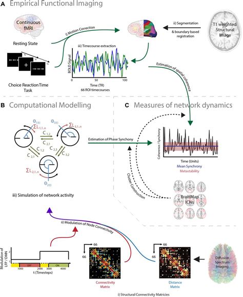 The Control Of Global Brain Dynamics Opposing Actions Of Frontoparietal Control And Default