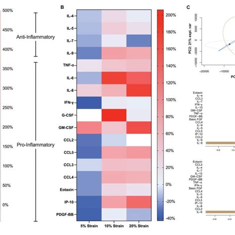 Substrate Stiffness And Strain Magnitude Display Distinct Cytokine Download Scientific Diagram