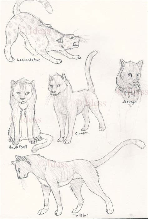 Warriors Cats Art By Idess On Deviantart