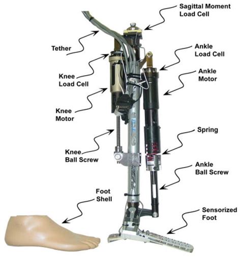 Real Time Gait Mode Intent Recognition Of A Powered Knee And Ankle Prosthesis For Standing And