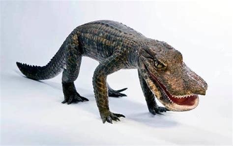 10 Wild Claims Used To Disprove Evolution