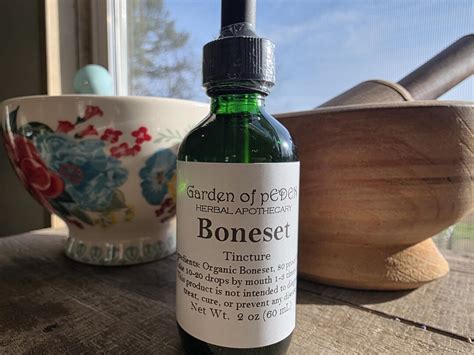 Boneset Tincture Eupatorium Perfoliatum Organic Herbal Extract