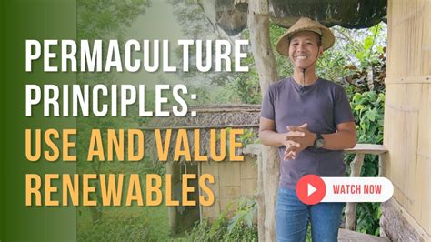 Permaculture Principles Use And Value Renewables Youtube