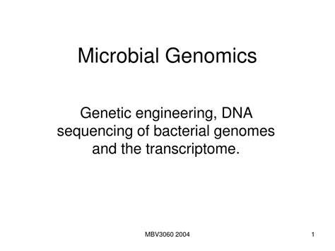 Ppt Microbial Genomics And Genetic Engineering Lecture 2004 Powerpoint Presentation Id 9416859