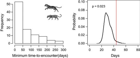 Spatiotemporal Interactions As Shown By The Times To Encounter Between