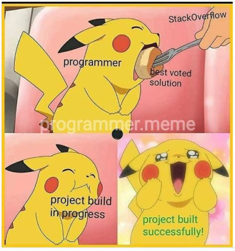 Stack Overflow ProgrammerHumor Io